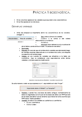 Practica-1.-Introduccion-al-SPSS.pdf