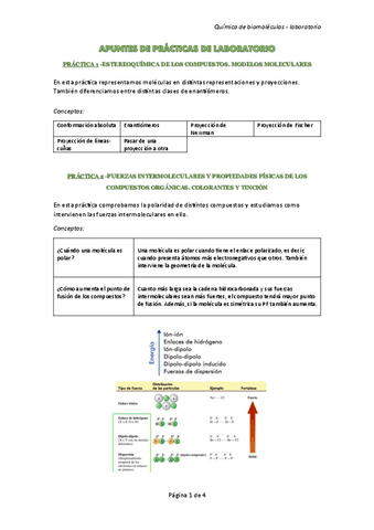 APUNTES-DE-PRACTICAS-DE-LABORATORIO.pdf