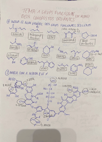 EXERCICIS-DE-REPAS-TEMA-1.pdf