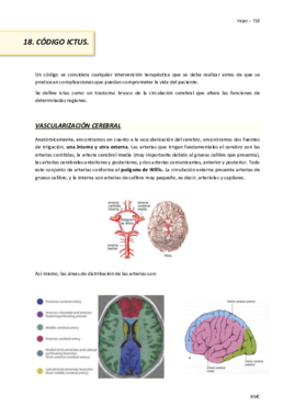 TEMA 18 - CODIGO ICTUS.pdf