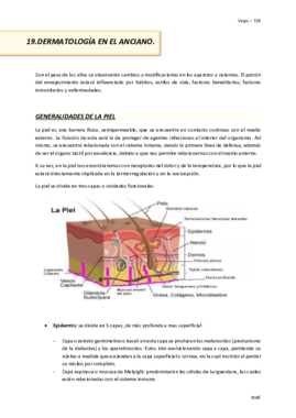 TEMA 19 - DERMA.pdf
