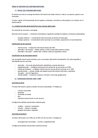 ANATOMIA II PARTE.pdf