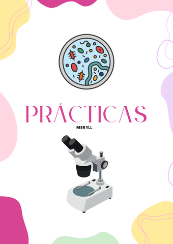 Aprobar-micro-parte-PRACTICAS.pdf