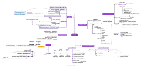 TEMA 6 (esquema Dolor).pdf