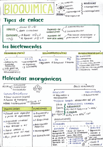 BIOQUIMICA.pdf