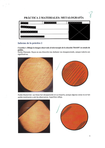 PRACTICA-2-CORREGIDA.pdf