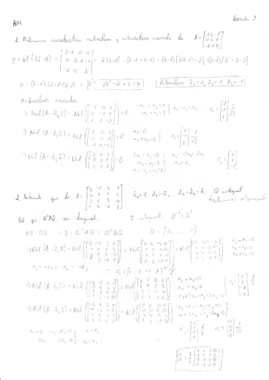 Ejercicios Lección 2 MM.pdf