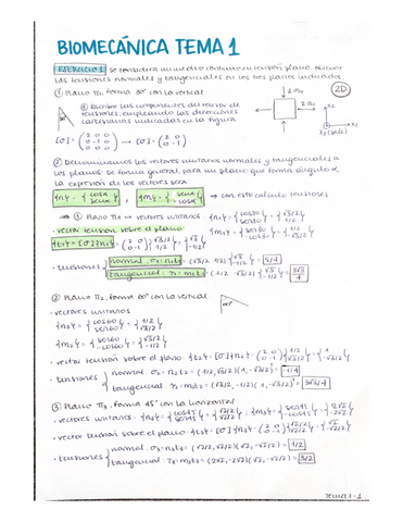 Tema1-ejercicios-y-examenes.pdf