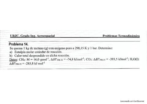 Termo-Tema-11-Ejers-RESUELTOS.pdf