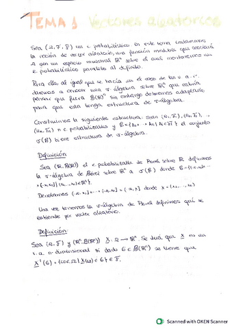 TEMA 1 TP.pdf