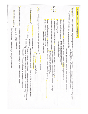 TEMA-7-ORGANIZACION-DE-EMPRESAS.pdf