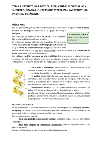 TEMA 7_ ESTRUCTURAS FIBROSAS.pdf