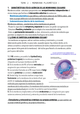 HISTOLOGIA-tema-2-membrana.-plasmatica.pdf