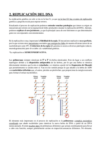 02.-Replicacion-del-DNA-y-ciclo-celular.pdf
