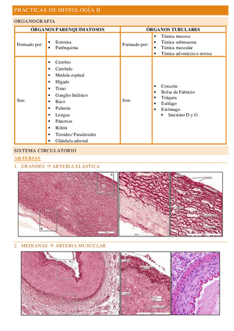 PRACTICAS-SEGUNDO-CUATRI.pdf