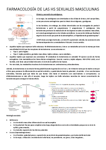 HS-SEXUALES-MASC.pdf