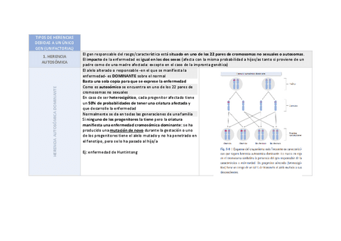 TABLA-RESUMEN-TIPOS-DE-HERENCIAS-PSICOBIOLOGIA-I.pdf