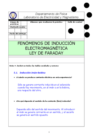 Practica-Faraday-con-solucion.pdf