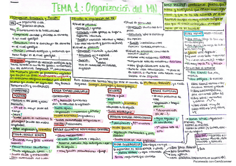 Resumenes-esquemas-temario-completo.pdf