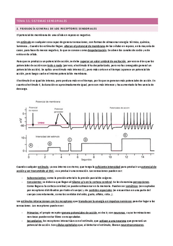 temas-11-15-fisio-pdf.pdf