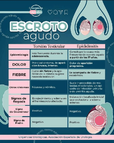 El-ESCROTO-AGUDO.pdf