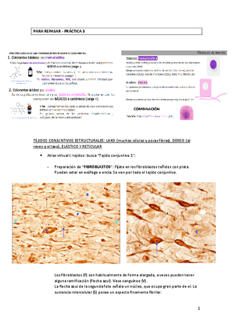Para repasar (prácticas).pdf