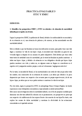 PRACTICA-EVALUABLE-3.-EMIC-Y-ETIC.pdf