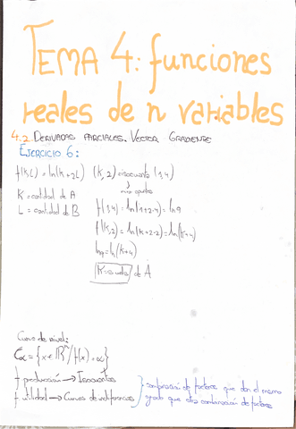 Funciones reales de n variables. Teoría y ejercicios.pdf