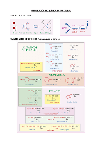 FORMULACION-BIOQUIMICA-ESTRUCTURAL-TODA-LA-1RA-PARTE.pdf