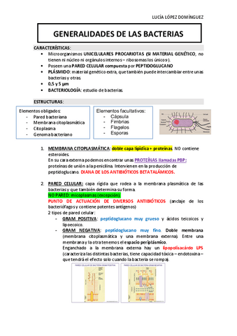 GENERALIDADES-DE-LAS-BACTERIAS.pdf