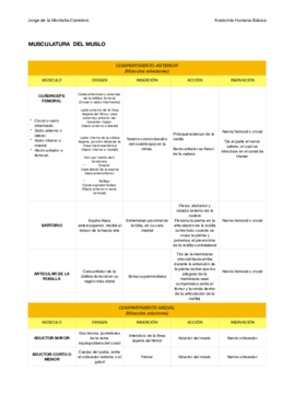 MUSCULATURA MUSLO.pdf