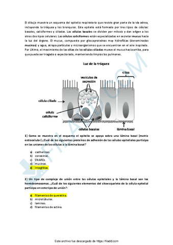 Examen-Diciembre-2015-A.pdf