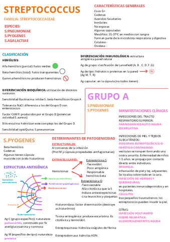 STREPTOCOCCUS-Y-ENTEROCOCCUS.pdf