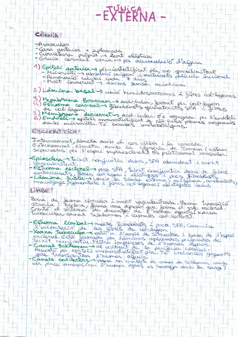 Resum-examen-final.pdf