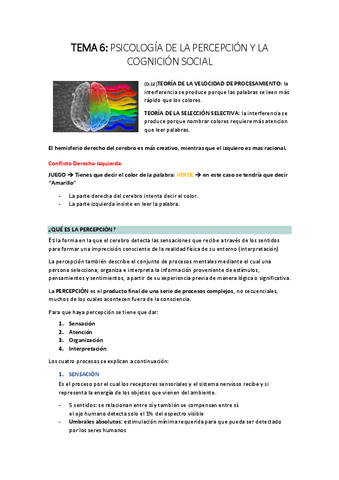 TEMA-6-Psicologia-de-la-percepcion-y-la-cognicion-social.pdf