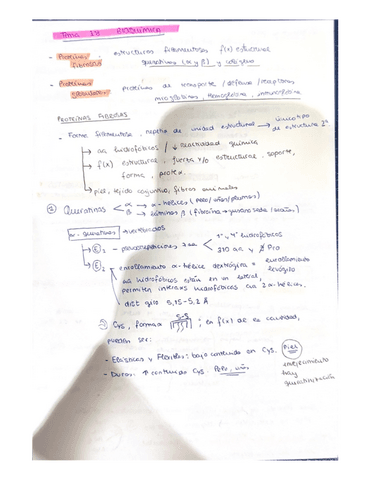 Tema-18-Esquema-Bioquimica.pdf