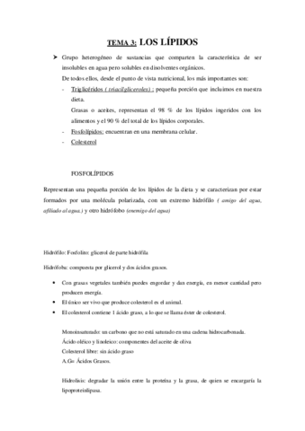 T3-LOS-LIPIDOS.pdf