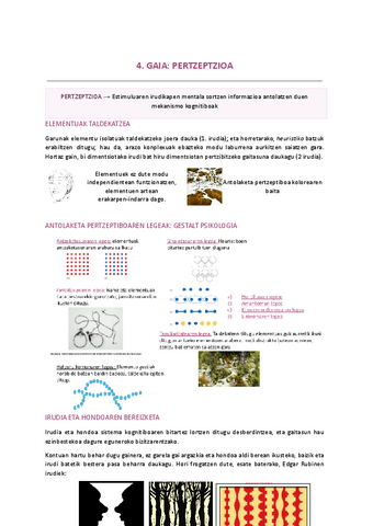 4.-GAIA-PERTZEPZIOA.pdf