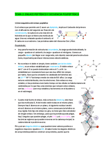 TEMA-2.-Enlace-peptidico-y-secuencia-polipeptidica.pdf