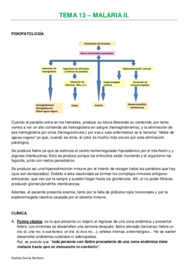 TEMA 13 - MALARIA II..pdf
