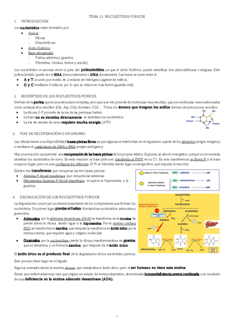 TEMA-21-NUCLEOTIDOS-PURICOS.pdf