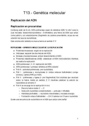 T13-Genetica-molecular.pdf