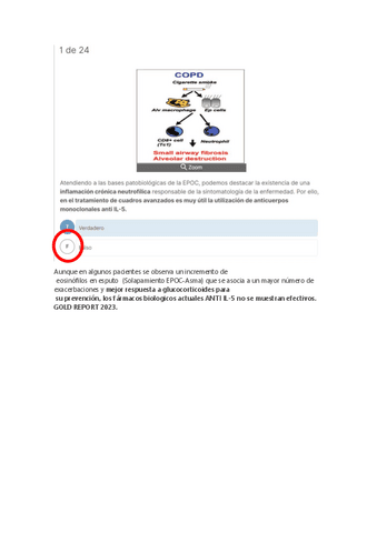 Socrative-5.-Tema-5.pdf