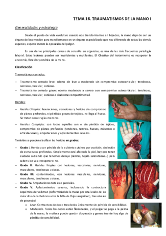 Tema 16. Traumatismos de la mano I.pdf