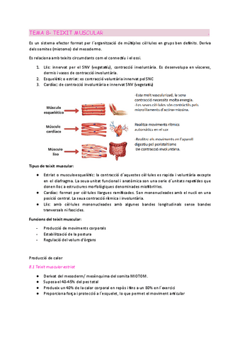 TEMA-8-ANATOMIA.pdf