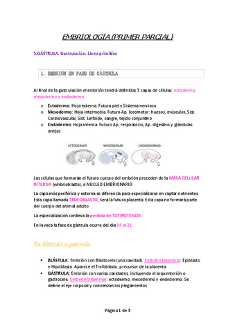 5.-GASTRULA.-Gastrulacion.-Linea-primitiva.pdf