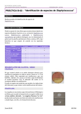 B-02-Identificacion-de-especies-de-staphylococcus-b02.pdf
