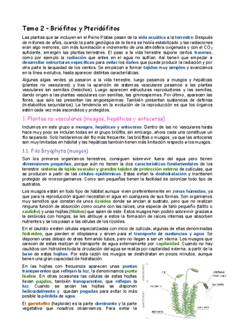 Tema-2B.pdf