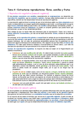 Tema-4B.pdf