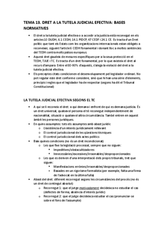 TEMA-13.pdf